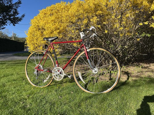 Raleigh Super Record Road Bicycle | eBay