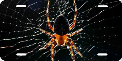 Spider Web, License Plate New Car Tag Metal Aluminum, USA | eBay