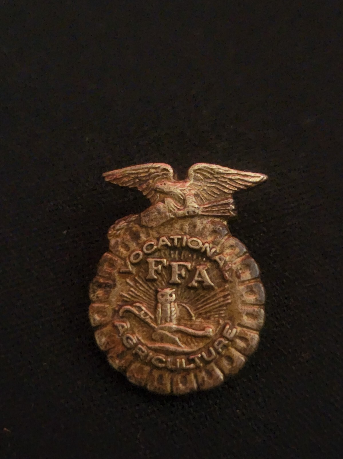 Vintage Future Farmers of America FFA Pin Vocational Agriculture | eBay
