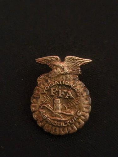 Vintage Future Farmers of America FFA Pin Vocational Agriculture | eBay