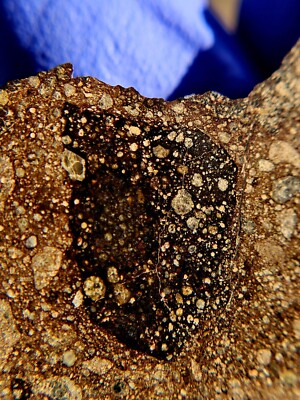 Meteorite**NWA 16803 Prov., Rumuruti R5**12.895 grams, Stunning ...