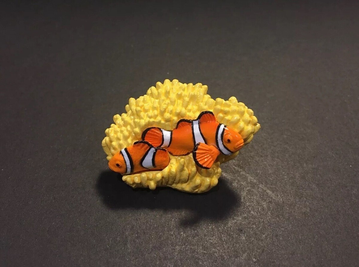Rare Clownfish