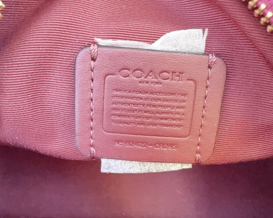 NWT Coach Mini Rowan Crossbody With Cherry Print CR245 | eBay