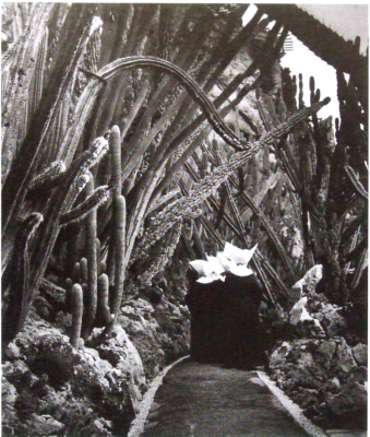 BRASSAI mounted repro photo print 10 x 8" nuns Monaco 1945 BI47 | eBay