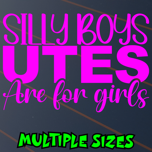Silly Boys Utes Are For Girls Sticker Car Decal Country 4x4 4WD Chick ...