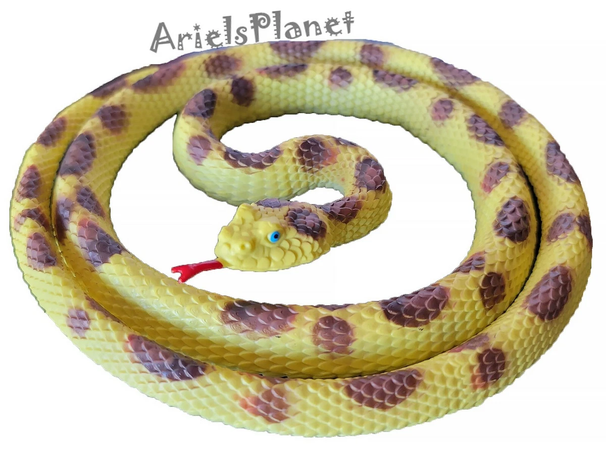 Coiled Up Snake