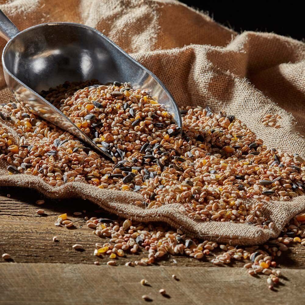 Happy Beaks All Seasons Wild Bird Food Seed Mix High Energy Premium ...