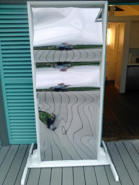 TEN (10) Halloween mirror Display Distortion Mirrors U control effect ...