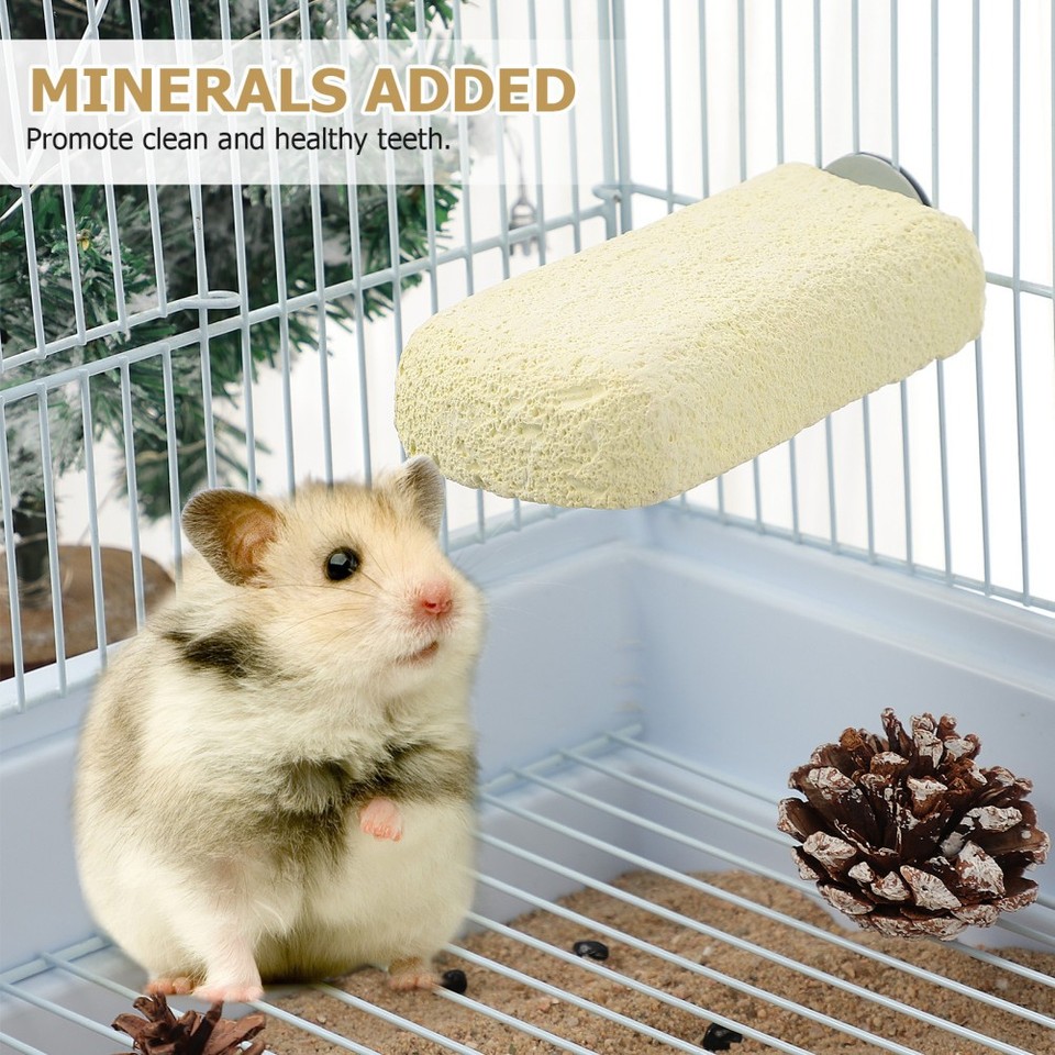 Hamster Teething Stone Snacks Animal Chew Grinding Toy Bird Chewing ...