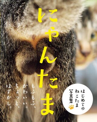 Picture Book NYAN-TAMA Cat Testicles Male Cats Furry Balls Japanese ...