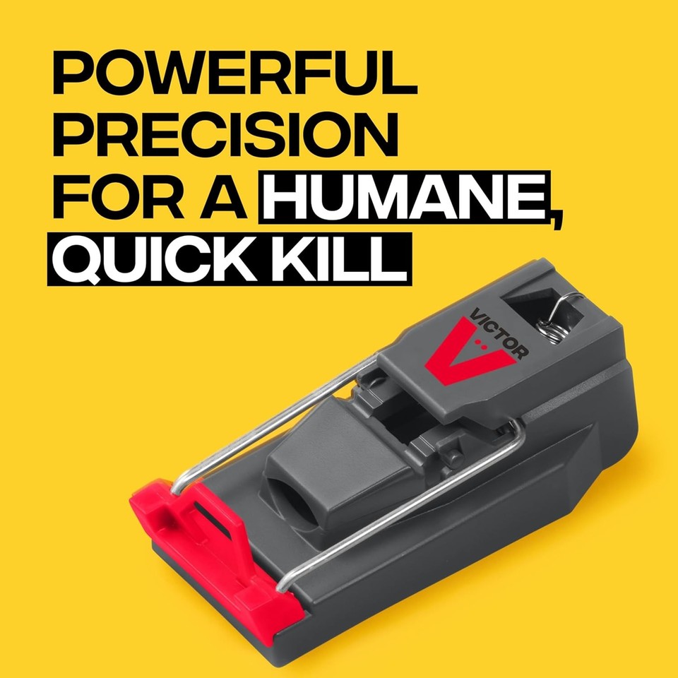 Victor M123SSR Quick-Kill Easy Set Mouse Trap, 6 Reusable 6 Traps, Gray ...