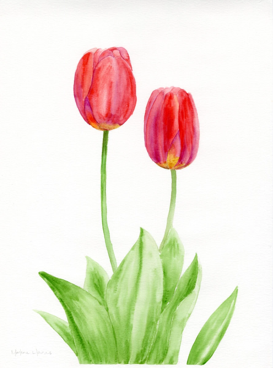 Red Tulips Painting
