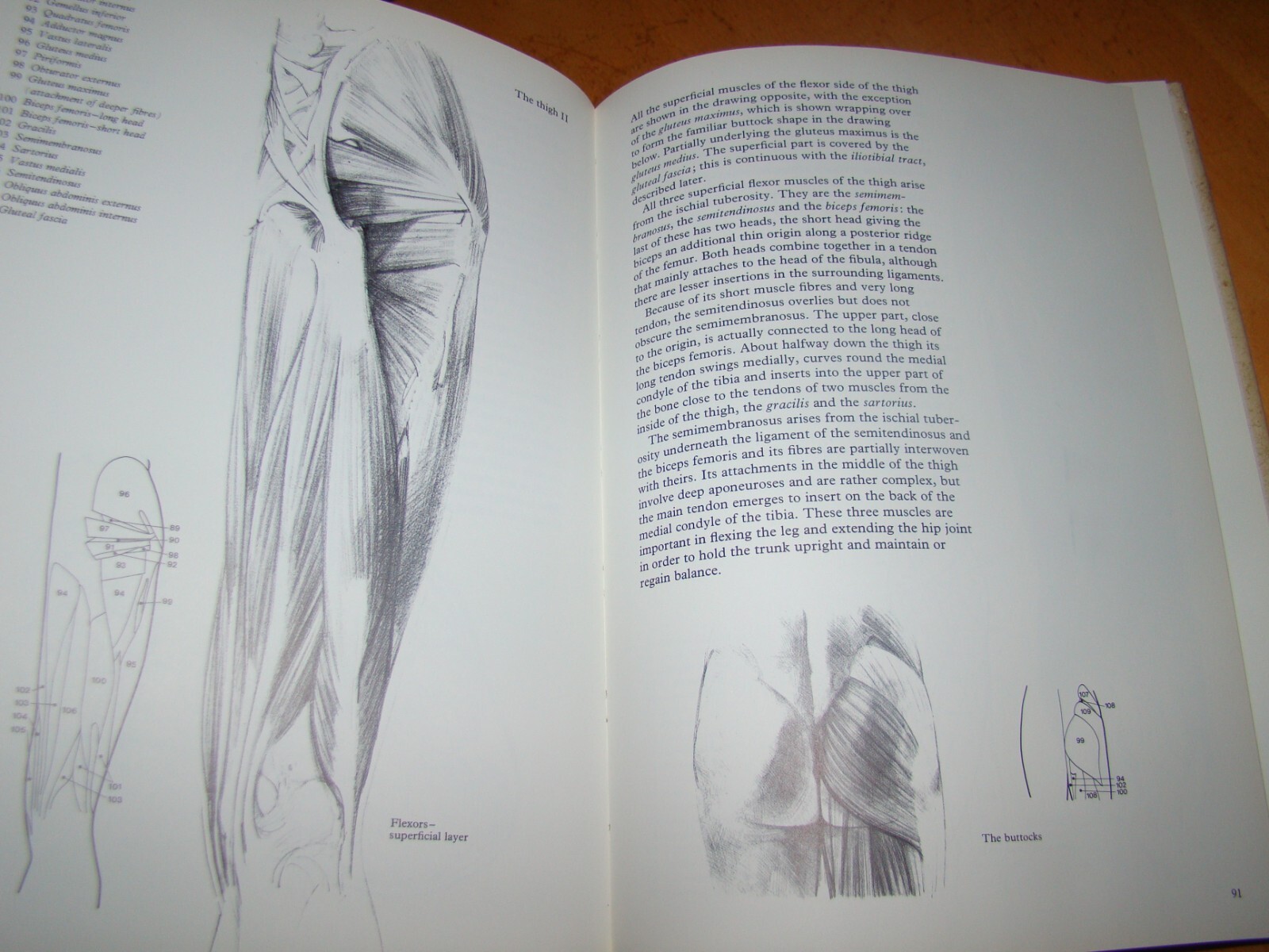 LOT OF 3 LIFE DRAWING FIGURES IN MOTION HUMAN ANATOMY ARTIST | eBay