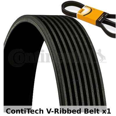 ContiTech V-Ribbed Belt - 8PK1478 , 8 Ribs - Fan Belt Alternator, Drive ...