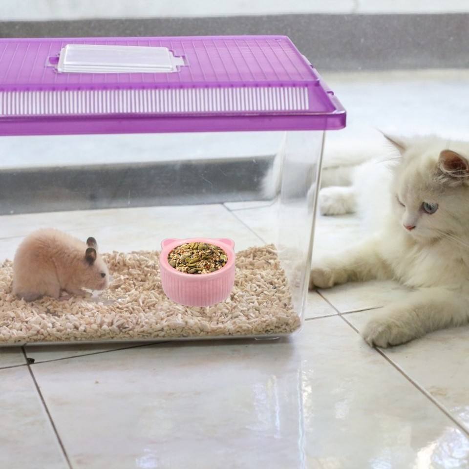 2 Pcs Pet Supplies Hamster Ceramic Bowl Mouse Food Dish Ceramics | eBay ...