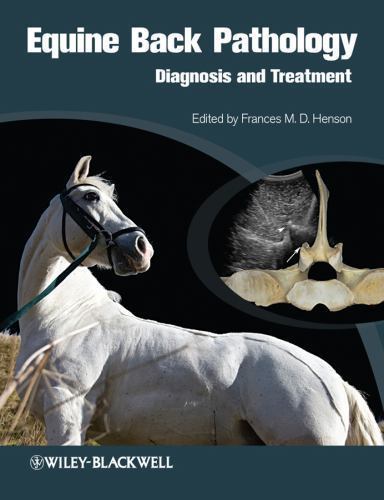 Equine Back Pathology : Diagnosis and Treatment (2009, Hardcover ...