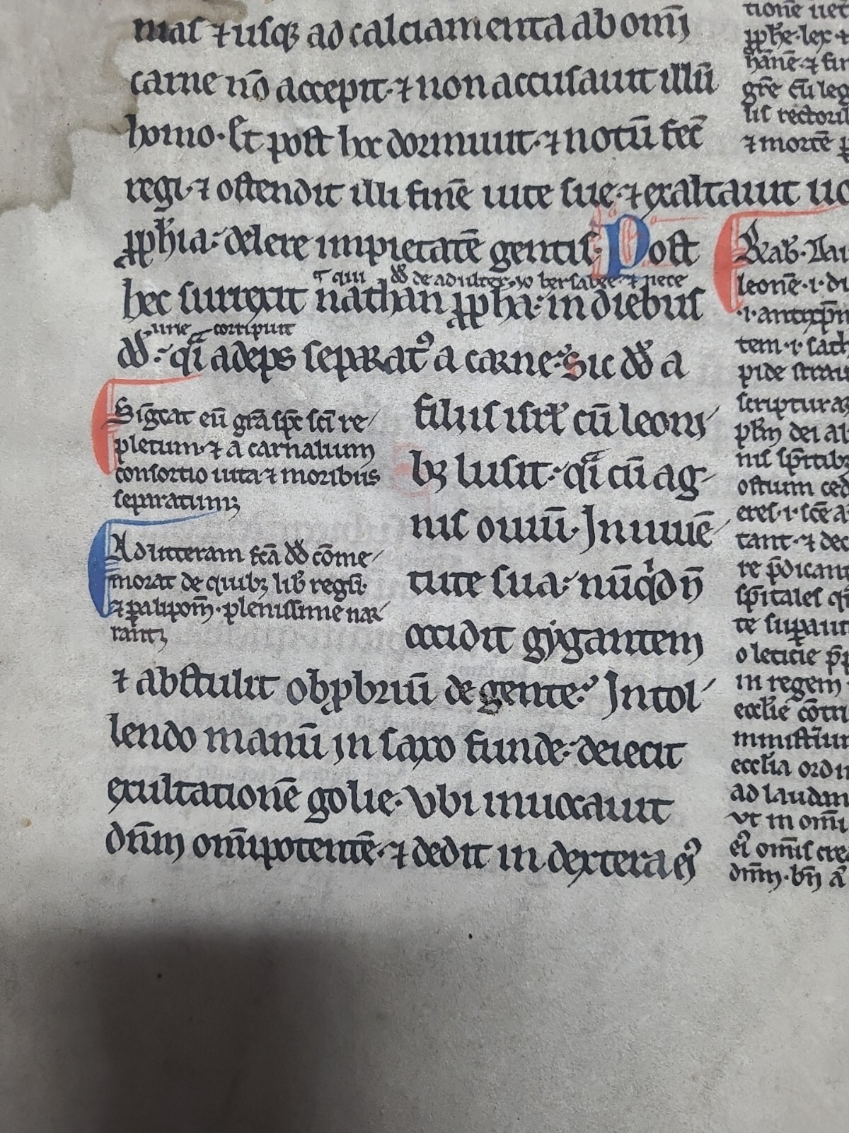 Antique Handwritten Biblical Latin Parchment Multicolor Medieval Vellum ...