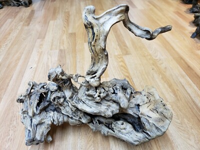 Root Carving Large Natural Wood Art (Natural Rock Embedded) | eBay