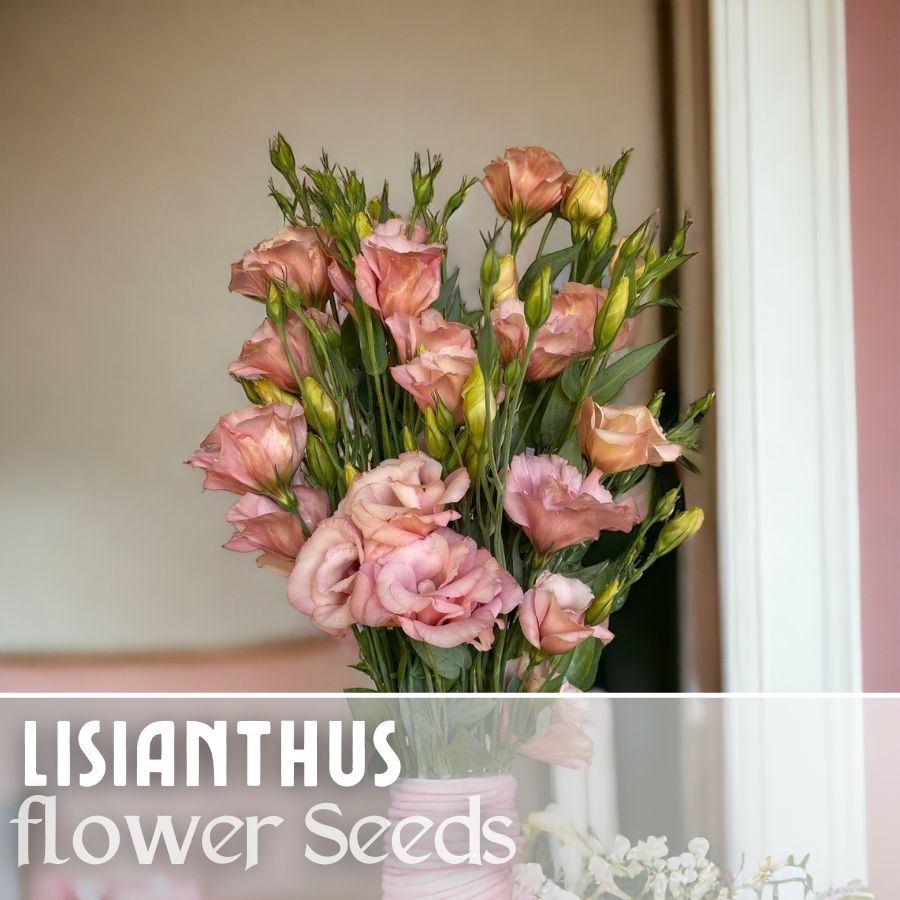 Lisianthus Seeds - 100 Seeds Garden Bloom Flower Seed Flowers Non Gmo ...