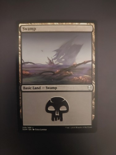 swamp land Magic the Gathering MTG | eBay