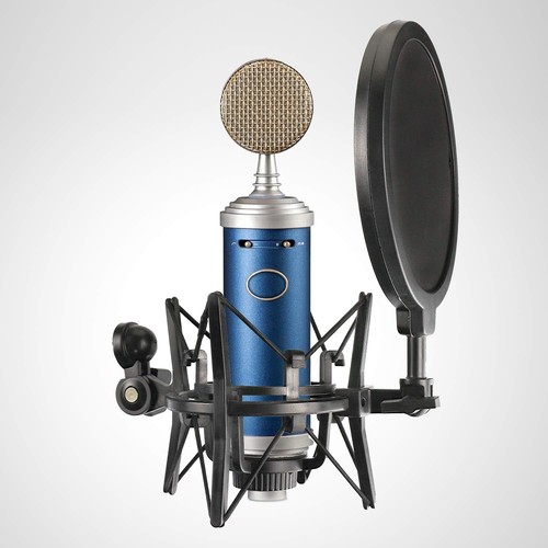 Bluebird Shock Mount And Pop Filter For Large Diaphragm Microphone | eBay