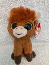 Angus the Cow - Beanie Boos - Beaniepedia