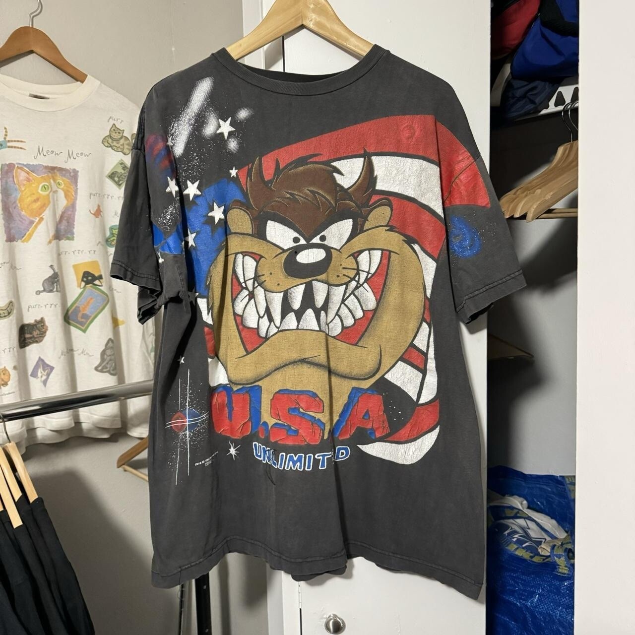 vintage 90s 1995 big face taz looney tunes cartoons U… - Gem