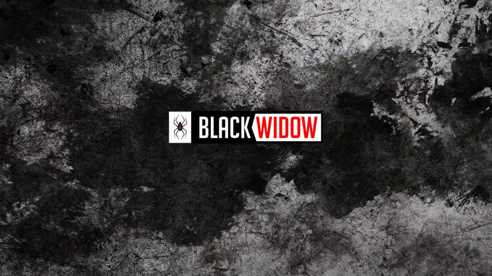 Black Widow PSR295 Set of Two Plastic Car Service Ramps | eBay