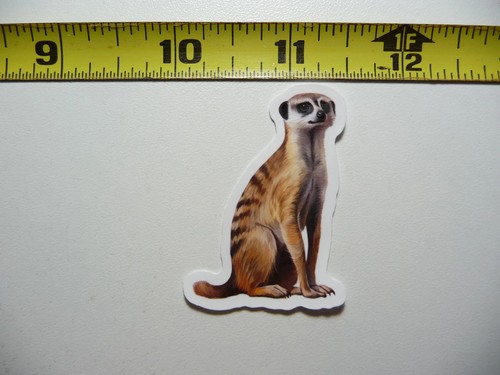MEERKAT MONGOOSE SMALL STICKER DECAL WILDLIFE PRESERVE NATURE ANIMAL ...