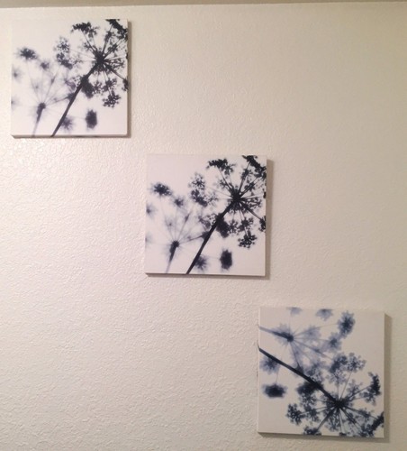 Abstract Dandelion 2 Wall Art Canvas Frame Hanging Picture Black And ...