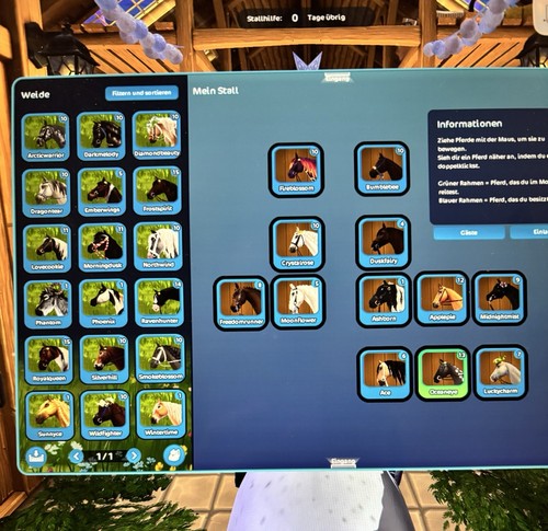 Star Stable Account/Lvl 22 / 11k Sc - 60€ | eBay.de