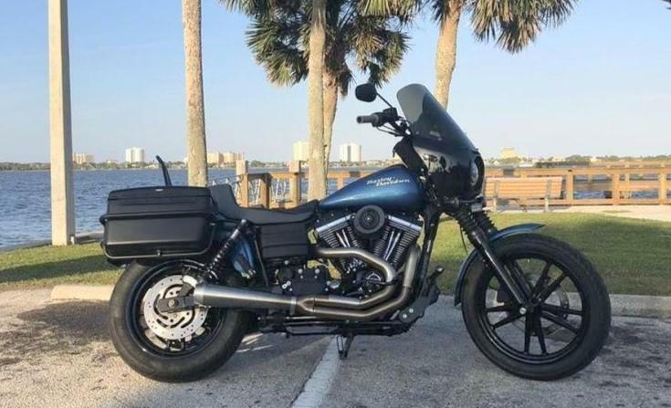 HD FXR FXRT FXRP FXRD FXDL Grand Touring FXRP Police Saddlebags Pannier ...