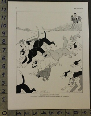 1929 BELVIDERE HOUNDS SPORT MUTT DOG HORSE FOXHUNT DT CARLISLE CARTOON ...