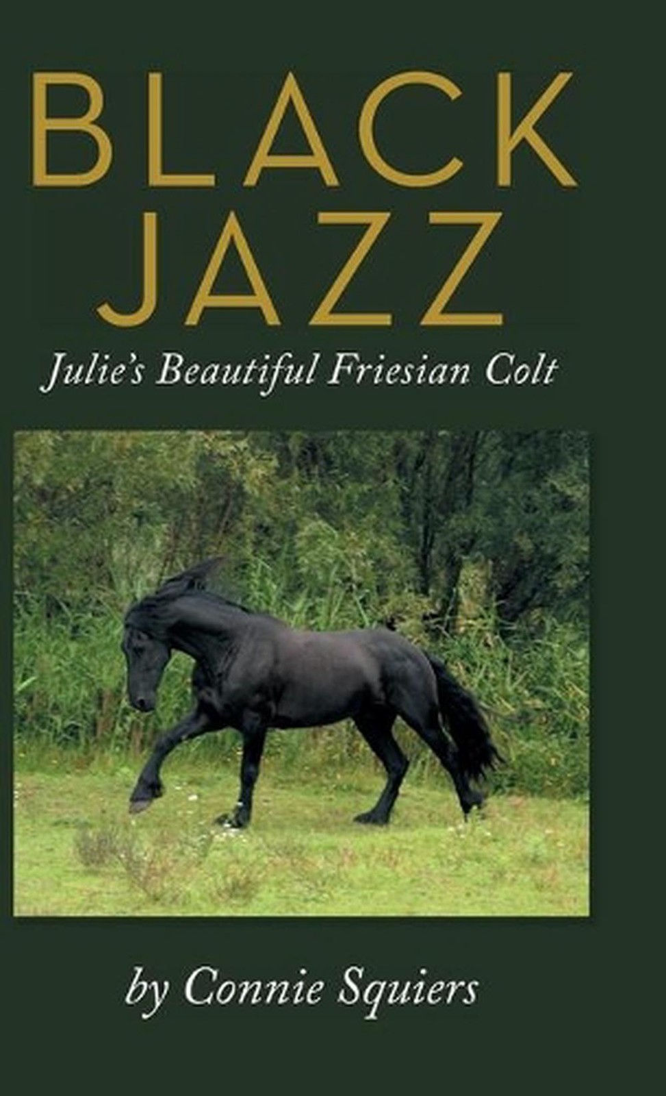 Black Jazz: Julie's Beautiful Friesian Colt by Connie Squiers (English ...