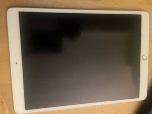 iPad PRO 1st Edition 256GB 10.5in - WIFI ONLY, Apple Pencil Spotless ...