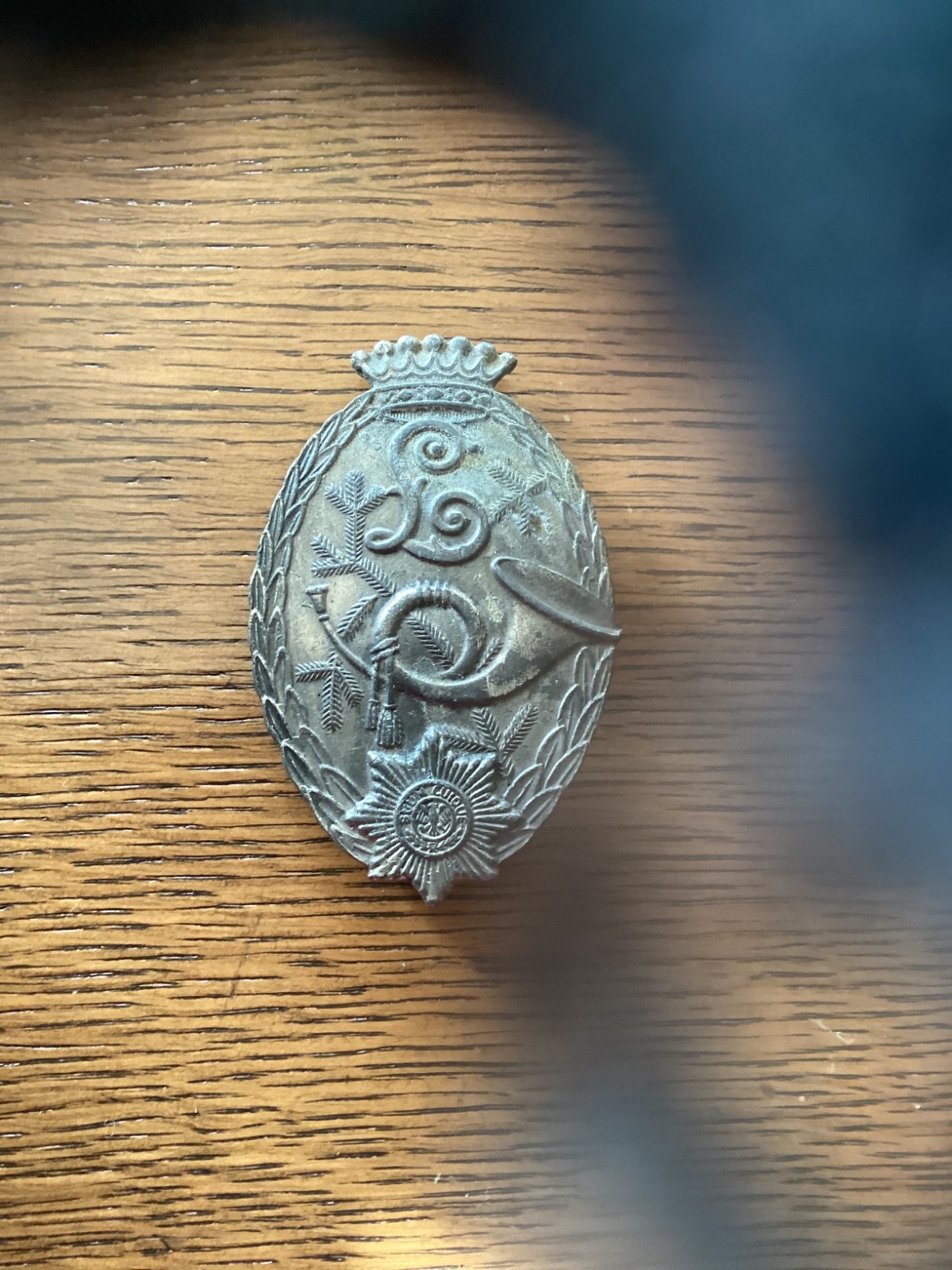 Freikorps Lutzow Badge Germany. | eBay