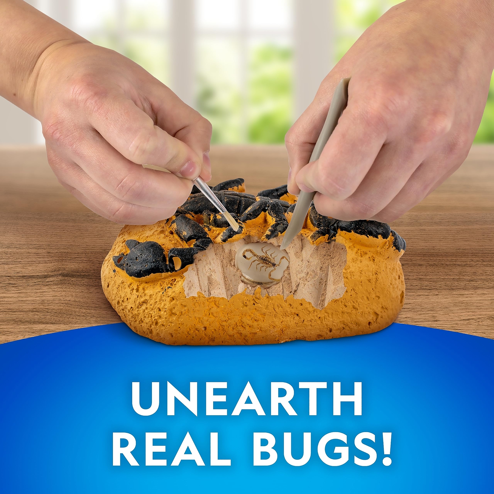 Bug Dig Kit by National Geographic 783318377346 for sale online | eBay