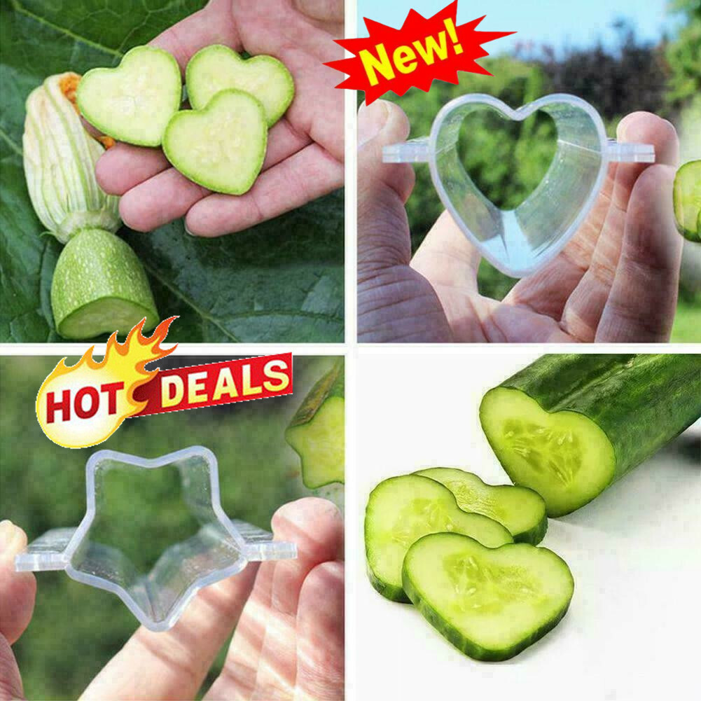 How Long Does It Take To Get For A Cucumber Molded