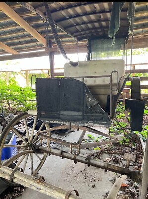 Horse Drawn Surrey Buggy Carriage 2 Seat Rows | eBay