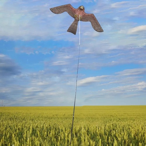 Birds Scarer Repeller Flying Hawk Kite Garden Scarecrow Yard House ...
