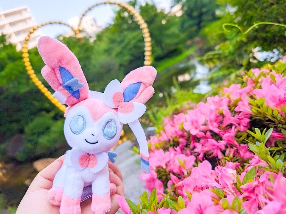 Pokemon fit Kalos Region X Y Pokemon Center Japan (Jun 15 2024, Release ...