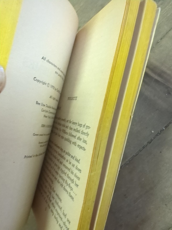 Dad's Devilish Dreams 😈 Vintage Double Novel Beeline Paperback Sleaze ...