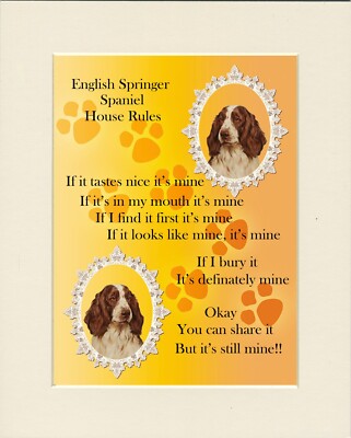ENGLISH SPRINGER SPANIEL "IT'S MINE" HOUSE RULES COMIC DOG ART PRINT ...