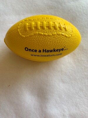 NCAA Iowa Hawkeye mini football yellow | eBay