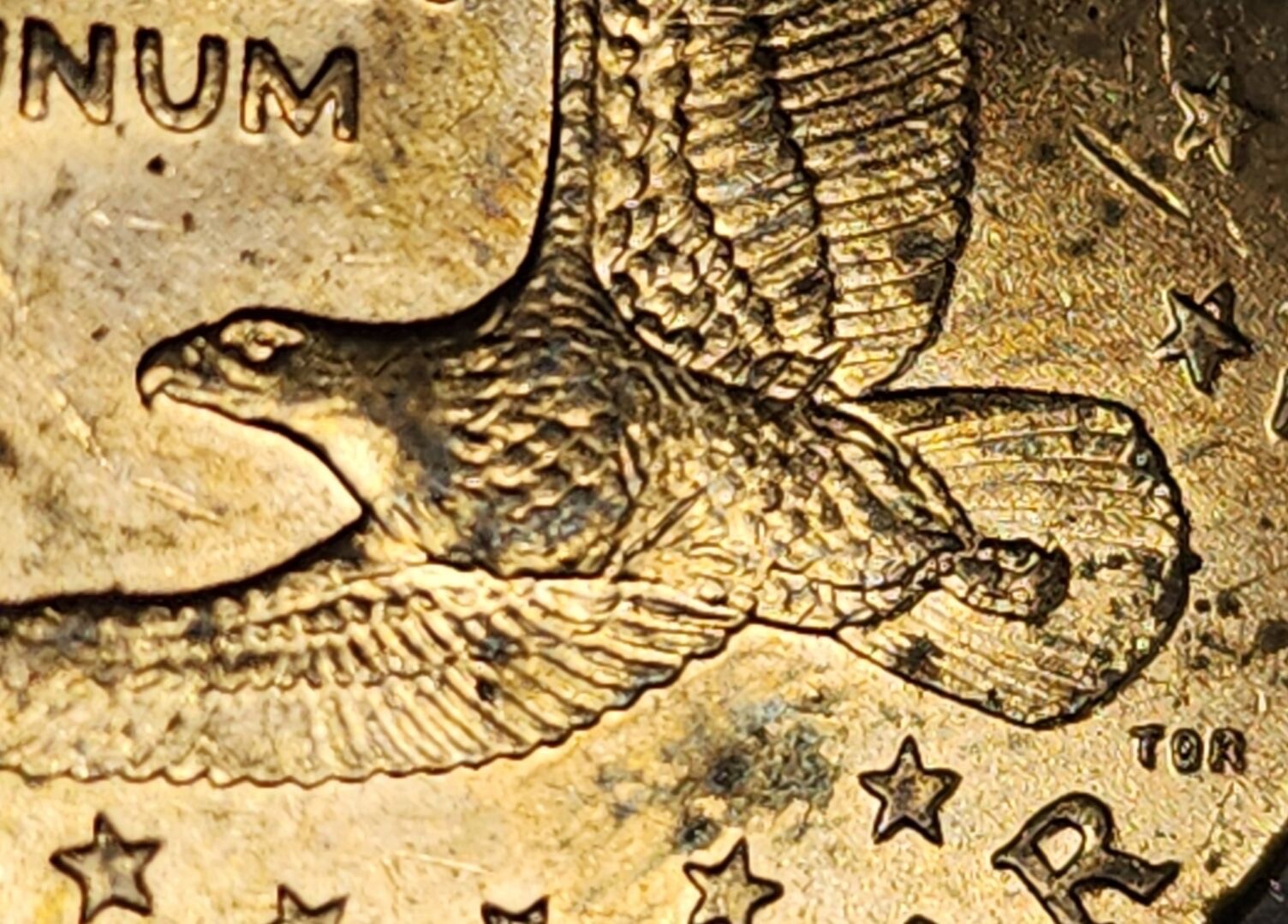 2000-P Wounded Eagle Variety Sacagawea Dollar Coin. ⭐️Great Condition! | eBay