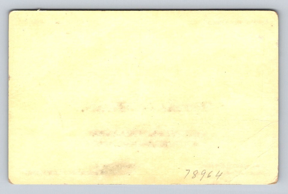 Peter Haan General Draying Teaming Coal Delivered Horse Wagon P424 | eBay