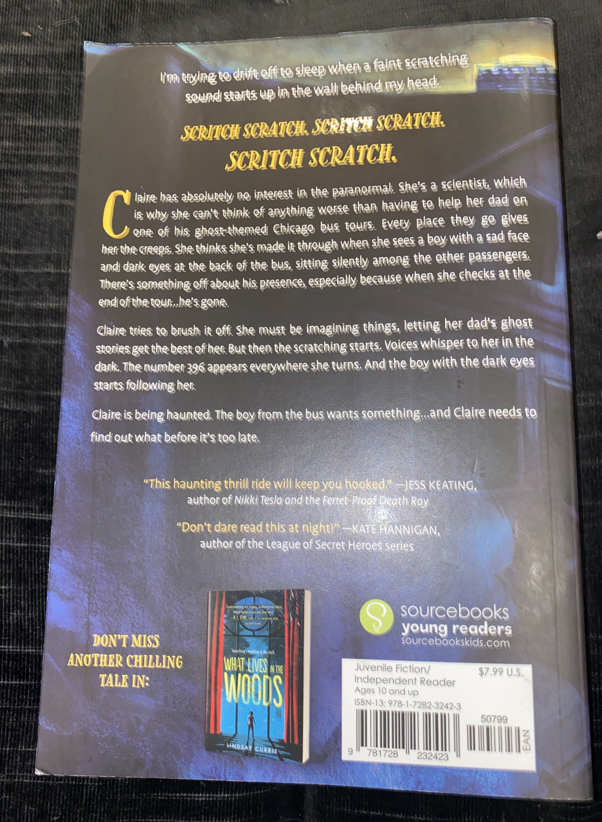 Scritch Scratch by Lindsay Currie (2021, Trade Paperback) for sale ...