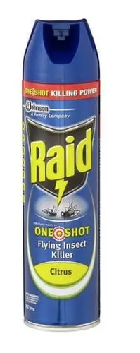 Raid One Shot 320g Flying Insect Killer Fly Spray - Citrus | eBay Australia