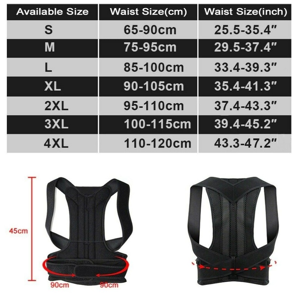 US STOCK Heavy Lifting Lumbar Back Men/Women Waist Support Belt Brace ...