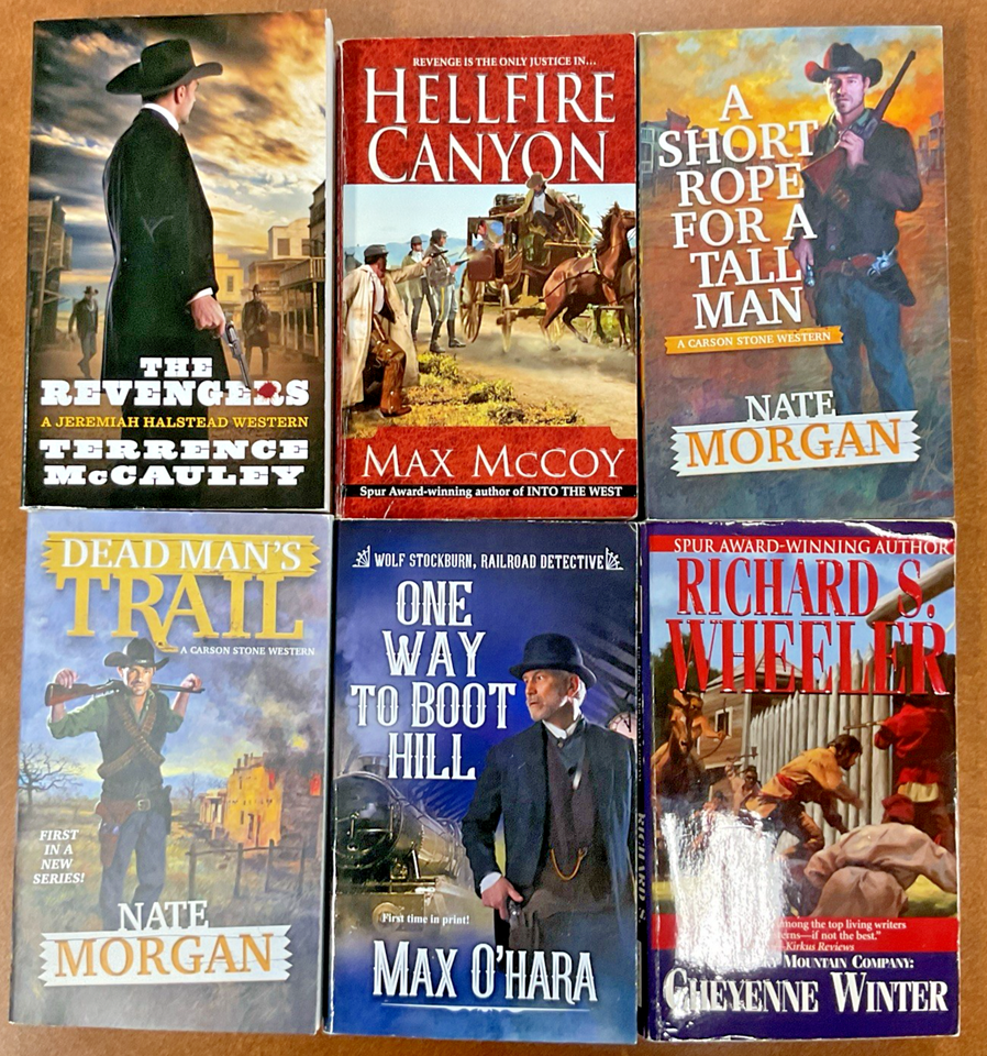 Pinnacle Westerns PB Lot of 19 Max McCoy, Nate Morgan, Dusty Richards ...